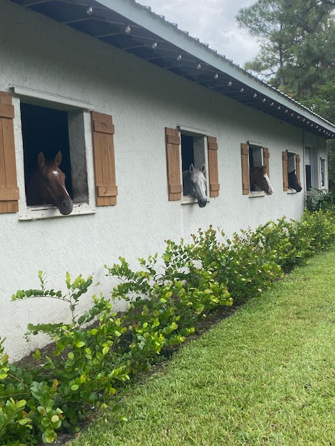 Kings Stables Farm and Events – KingsStablesFl