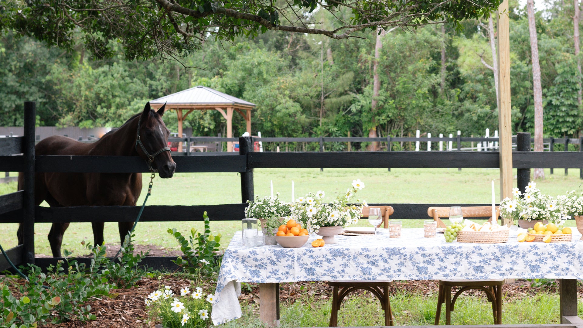 Kings Stables Farm and Events – KingsStablesFl